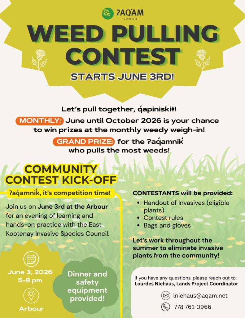 Weed Pulling Contest | ʔaq̓am